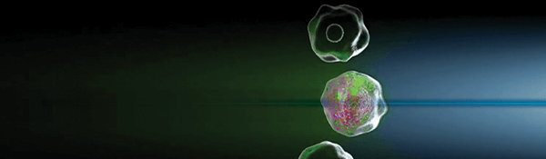 Viability dyes for Flow Cytometry | CST Blog